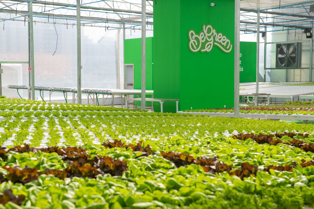 BEGREEN FINALIZA 2022 COM OITO FAZENDAS URBANAS EM GRANDES CIDADES E ...